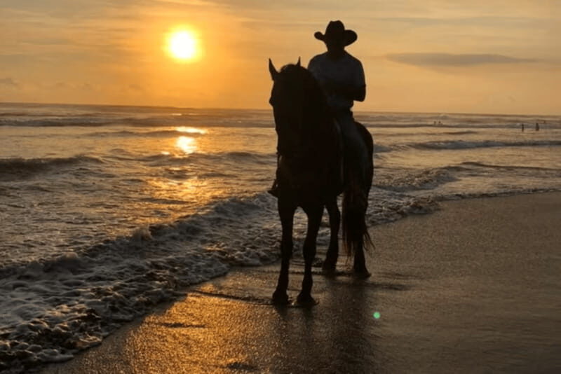 Acapulco: Bonfil Beach Horseback Riding Experience - The Experience in Detail