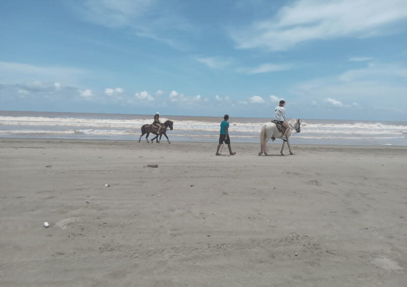 Acapulco: Horseback Riding, Turtle Camp, and Crocodile Tour - A Deep Dive into the Experience