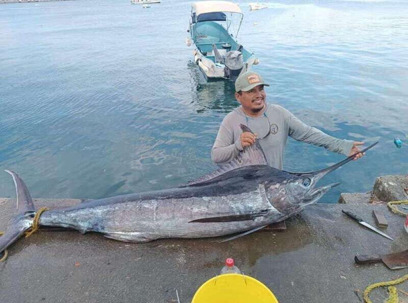 Acapulco: Private Fishing Experience - What to Expect from the Private Fishing Experience in Acapulco