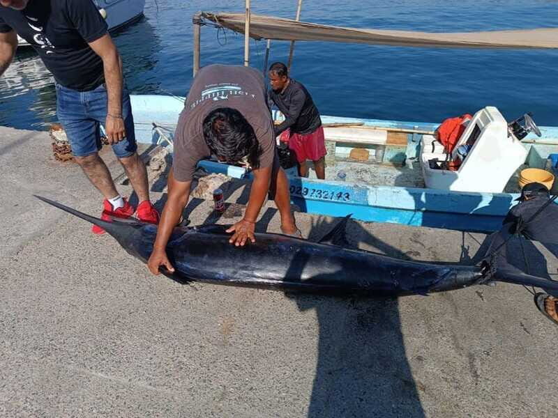 Acapulco: Private Fishing Experience - Final Thoughts