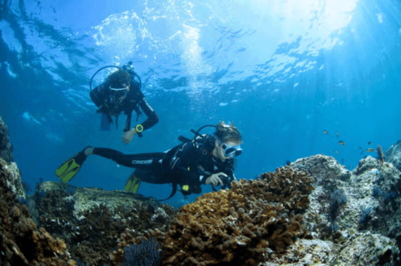 Acapulco: Scuba Diving in Roqueta Island