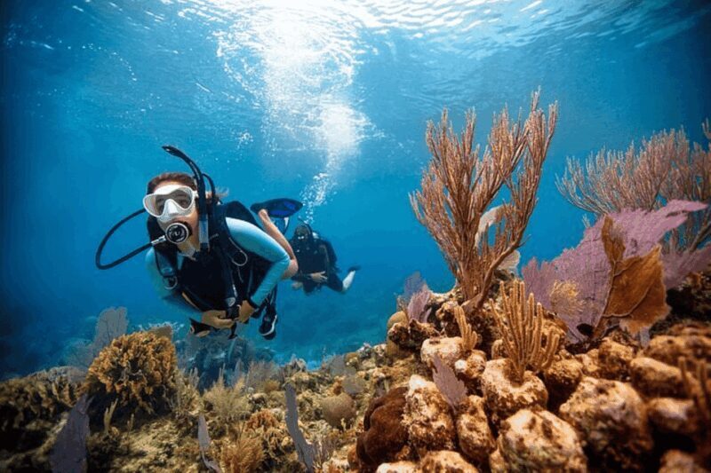 Acapulco: Scuba Diving in Roqueta Island - The Equipment and Safety