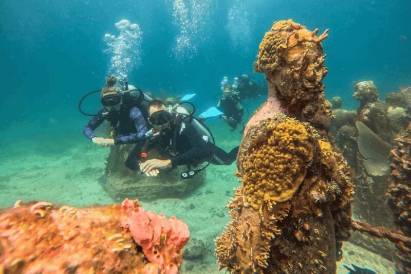 Acapulco: Scuba Diving in Roqueta Island - Cost and Value