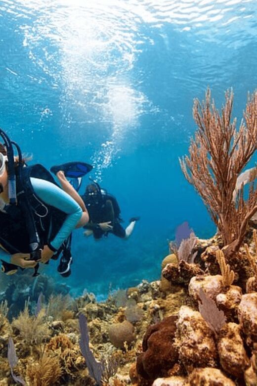 Acapulco: Scuba Diving in Roqueta Island - FAQs