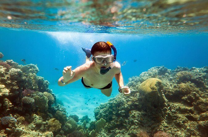 Acapulco Snorkeling Tour - Pricing and Value