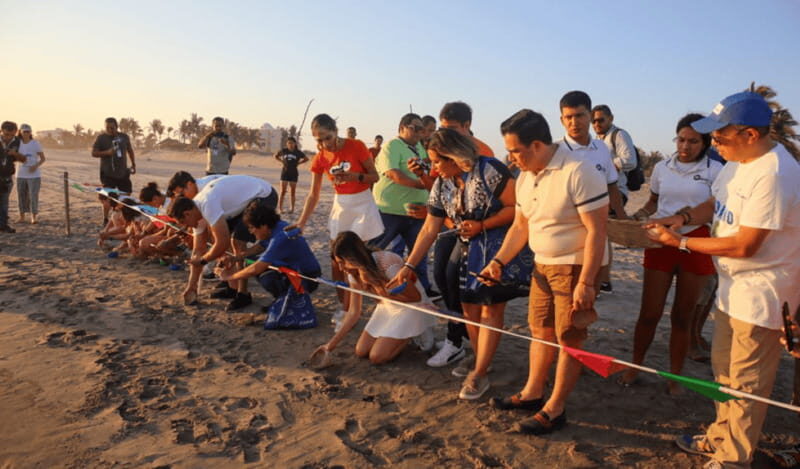 Acapulco: Turtle Release Experience - Who Will Love This Tour?