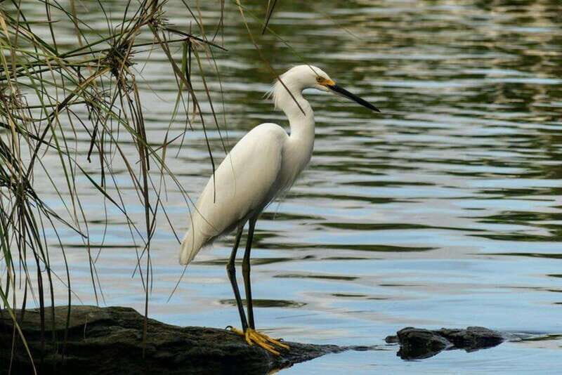 -Acapulco:3 Palos Lagoon Boat Ride& Crocodile Farm Exprience - Discovering Laguna de Tres Palos and the Crocodile Farm  