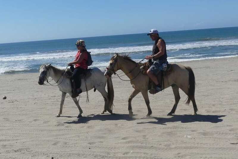 -Acapulco:Turtle Release Crocodile Farm & Horseback Ride Exp - Final Thoughts