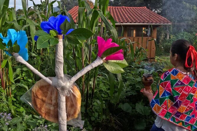 Acaxochitlán Local Community and Traditions Tour from Mexico - FAQs