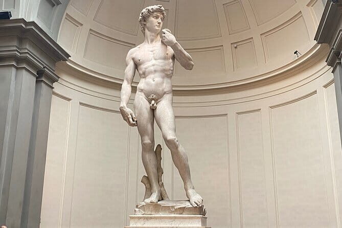 Accademia Gallery: Michelangelo's David and High Renaissance Art - Key Points