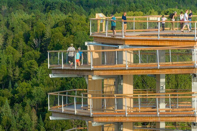 Access to Mont-Tremblant Treetop Observatory and Walk - Authentic Feedback from Visitors