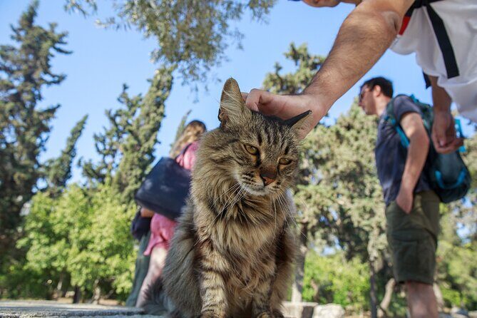 Acropolis of Athens, Ancient Agora and the Agora Museum Tour - The Sum Up