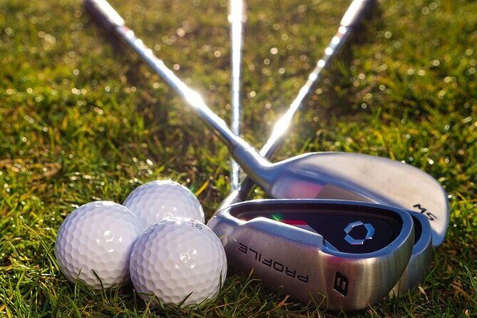 Active 1 Hour Private Professional Golf Tour in Streamsong - Why This Tour Stands Out