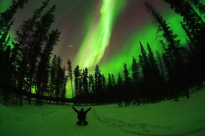 Active Winter Adventure in Yukon | 5 days - Key Points