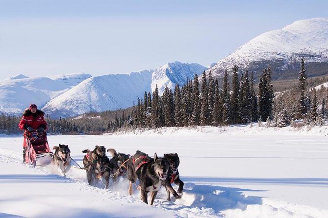 Active Winter Adventure in Yukon | 5 days - Who Would Love This Tour?