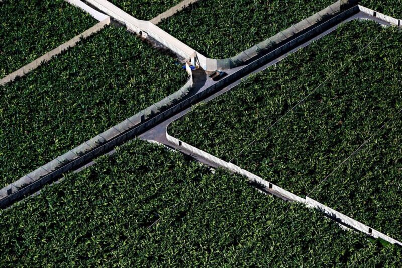 Adeje: Scenic Tenerife Helicopter Flight - Practical Tips for Your Helicopter Flight