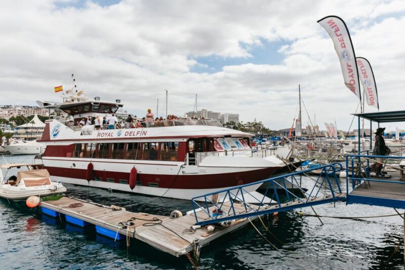 Adeje: Whale and Dolphin Watching Cruise with Lunch and Swim - FAQ