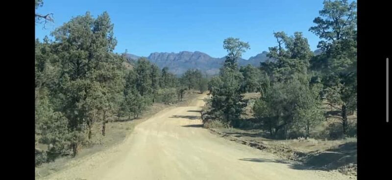 Adelaide: 3-Day 4WD Flinders Ranges and Clare Valley Tour - A Closer Look at the Tour Experience