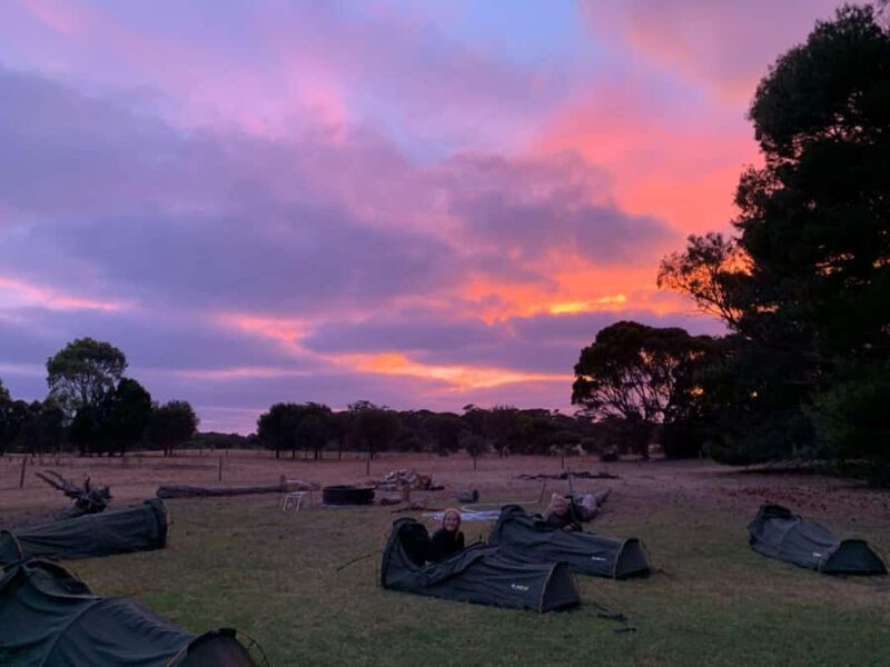 Adelaide: 3-Day Kangaroo Island Adventure Tour with Camping - Analyzing the Value