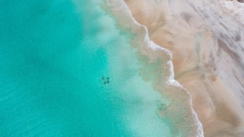 Adelaide: 3-Day Kangaroo Island Adventure Tour with Camping - Who Should Consider This Tour?