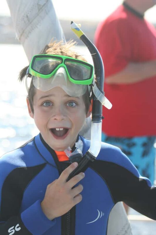 Adelaide: 4-Hour Swimming with Dolphins Experience - The Practical Details