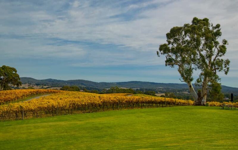 Adelaide: Adelaide Hills and Hahndorf Guided Tour with Lunch - Final Thoughts