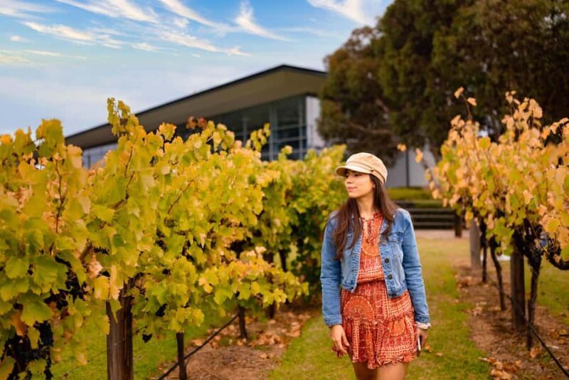 Adelaide: Barossa and Adelaide Hills Tour with Lunch - Detailed Breakdown of the Itinerary