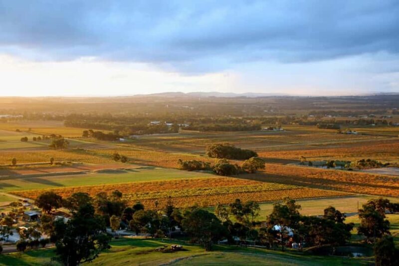 Adelaide: Barossa Private Wine Tour + Your Chosen Tastings - The Sum Up