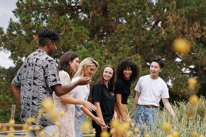 Adelaide City and First Nations Cultural Tour - FAQs