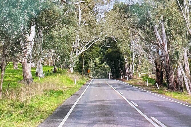 Adelaide City Highlights via Hahndorf Half-Day Tour - Why Choose This Tour?