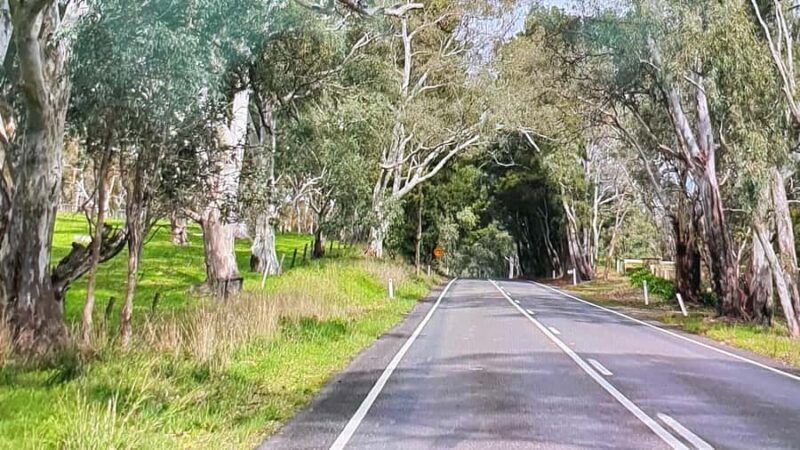 Adelaide City Highlights via Hahndorf Half-Day Tour - Value and Pricing