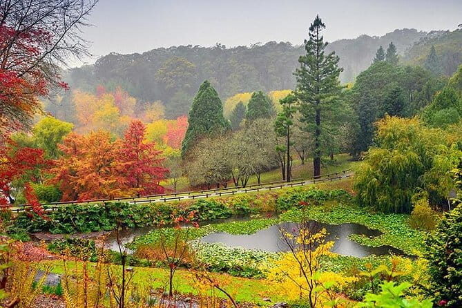 Adelaide City Kayak Tour - Final Thoughts