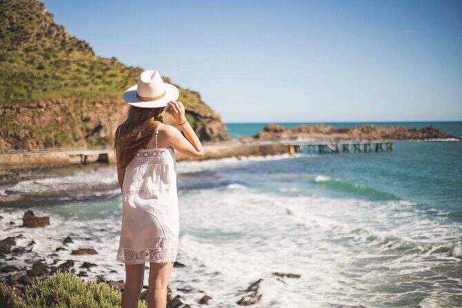 Adelaide Cruise Ship Private Tours - Who Is This Tour Best For?