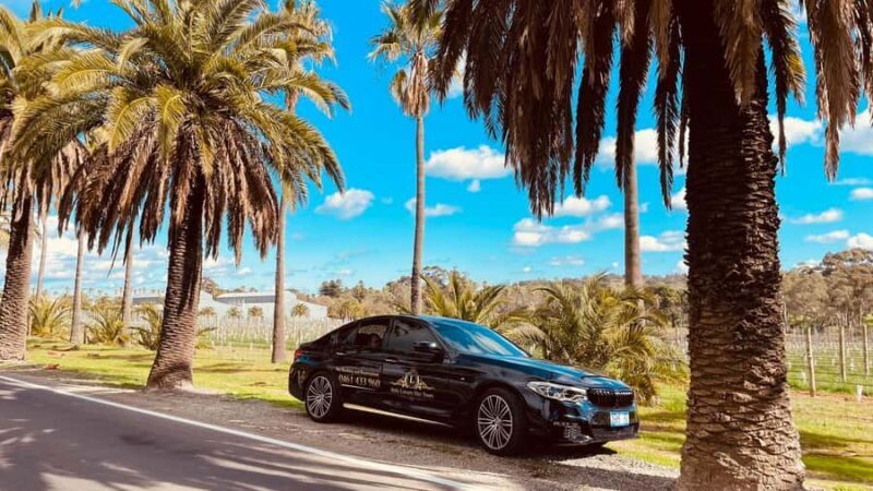 Adelaide Cruise Ship Tours - Why This Tour Works Well