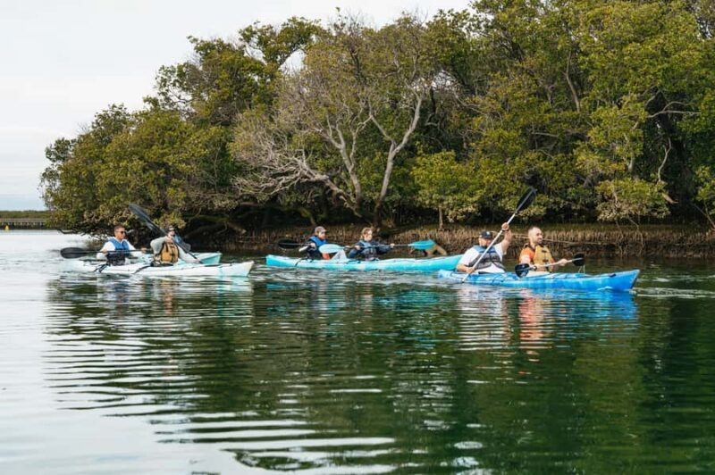 Adelaide: Dolphin Sanctuary Eco Kayaking Tour - Detailed Itinerary Breakdown