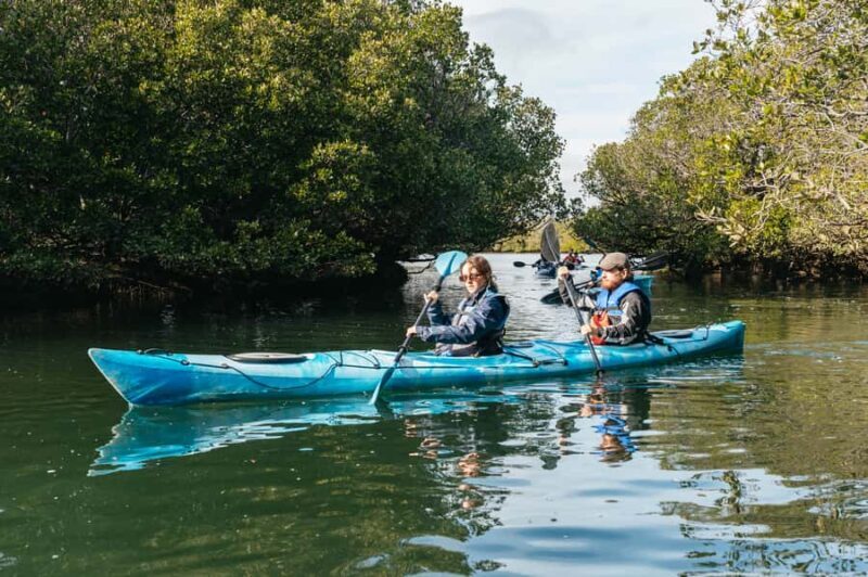 Adelaide: Dolphin Sanctuary Eco Kayaking Tour - The Guides and Experience