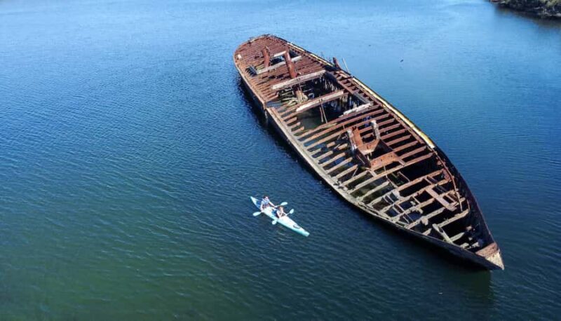 Adelaide: Dolphin Sanctuary Eco Kayaking Tour - Pricing and Value