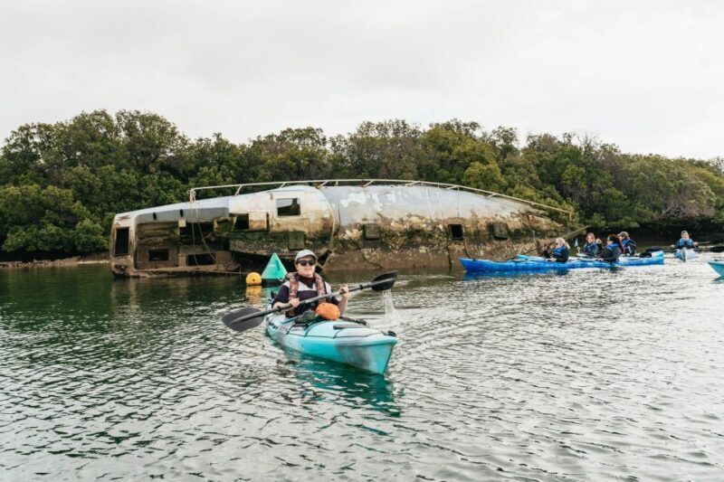 Adelaide: Dolphin Sanctuary Eco Kayaking Tour - Why This Tour Stands Out
