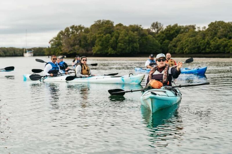 Adelaide: Dolphin Sanctuary Eco Kayaking Tour - Who Its Best For