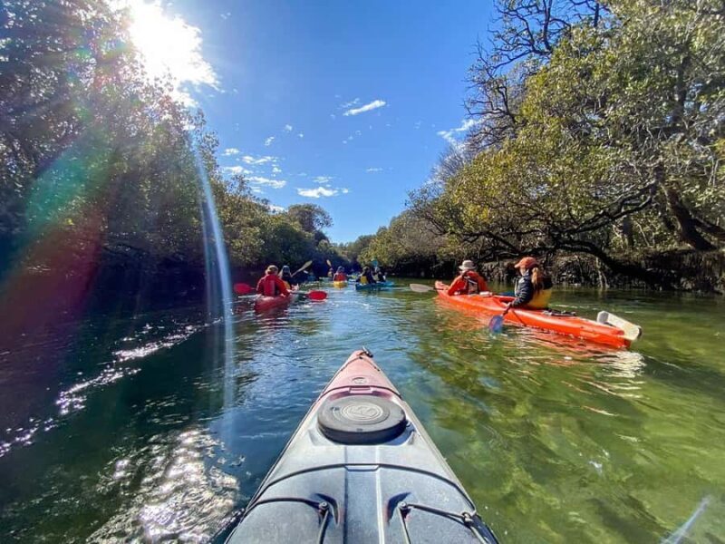 Adelaide: Dolphin Sanctuary Mangroves Kayak Tour - FAQ
