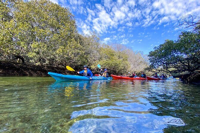 Adelaide Dolphin Sanctuary Mangroves Kayaking Tour - FAQ
