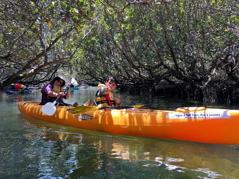 Adelaide: Dolphin Sanctuary Single or Double Kayak Rental - Key Points