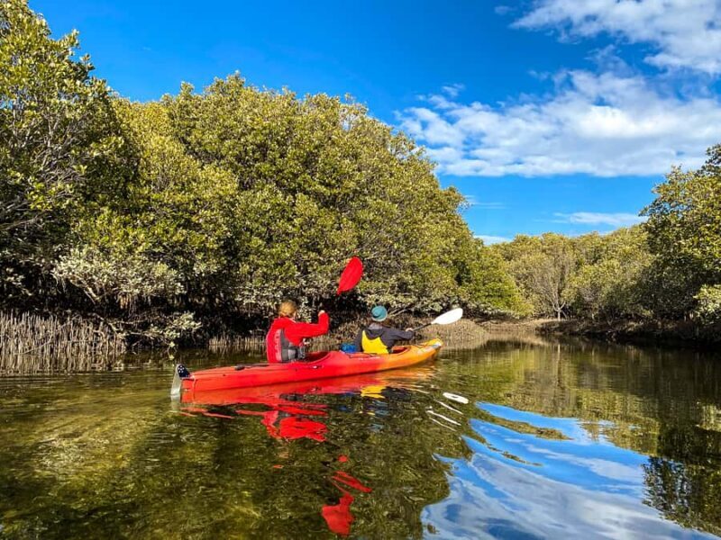 Adelaide: Dolphin Sanctuary Single or Double Kayak Rental - Who Will Love This Experience?