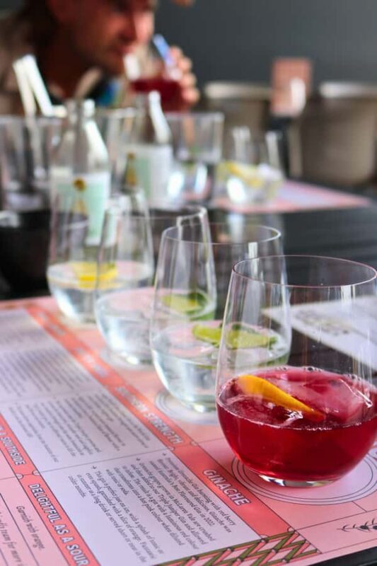 Adelaide: Fleurieu Rock Climb & Gin Tasting - Key Points