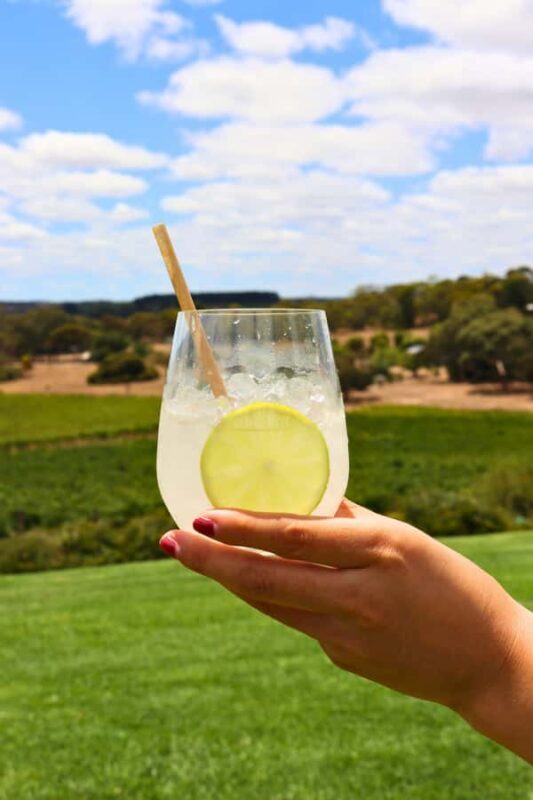 Adelaide: Fleurieu Rock Climb & Gin Tasting - Who Will Love This Tour?