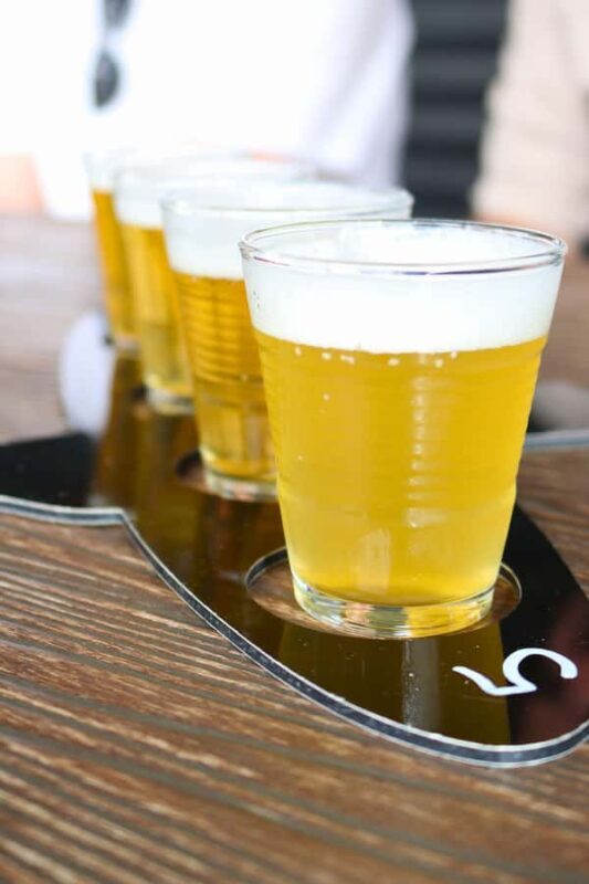 Adelaide: Fleurieu Snorkel & Beer Safari - Exploring the Itinerary: An In-Depth Look