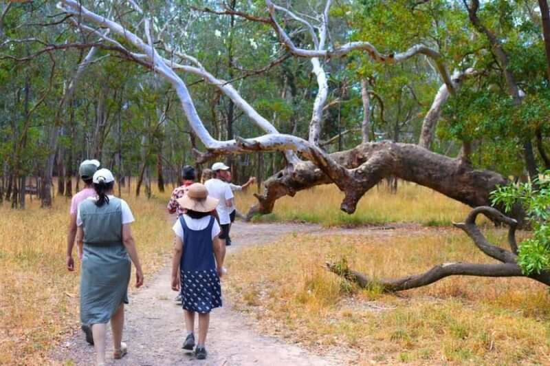 Adelaide: Fleurieu Snorkel & Beer Safari - Who Is This Tour Best For?