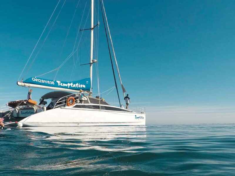 Adelaide: Glenelg Twilight Catamaran Cruise with Drink - The Experience from the Reviews