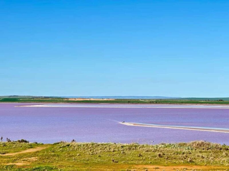 Adelaide Highlights: Wine, Whispering Wall & Pink Lake Tour - Key Points