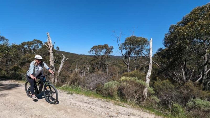 Adelaide Hills: E-Bike Self-Guided Tour with Coffee and Cake - Key Points